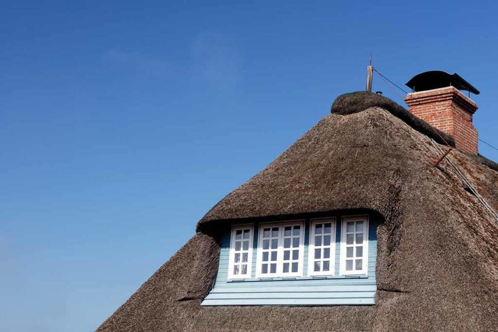 Wie lange hält ein Reetdach? | Dachneigung, Pflege und Co,