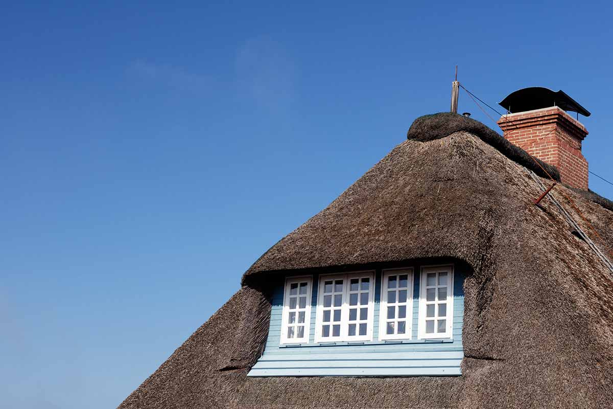 Wie lange hält ein Reetdach? | Dachneigung, Pflege und Co,