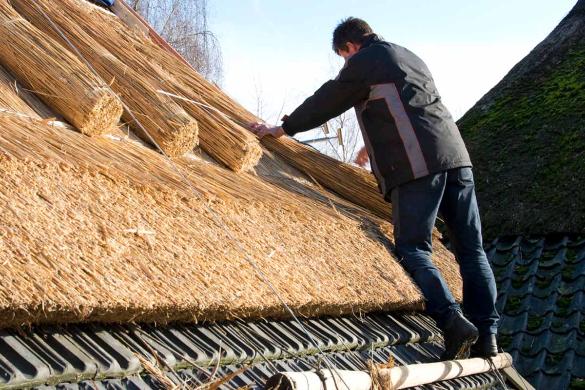 Reetdach Kosten | Wie viel kostet ein Dach aus Reet?