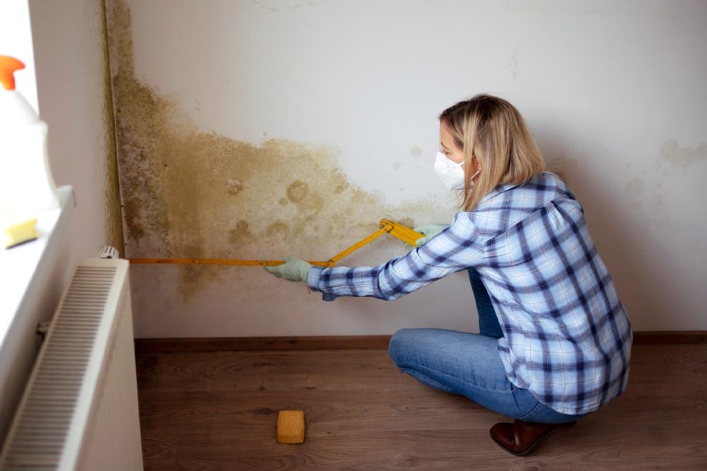 Dämmung und Schimmel: Was begünstigt Schimmelbildung?