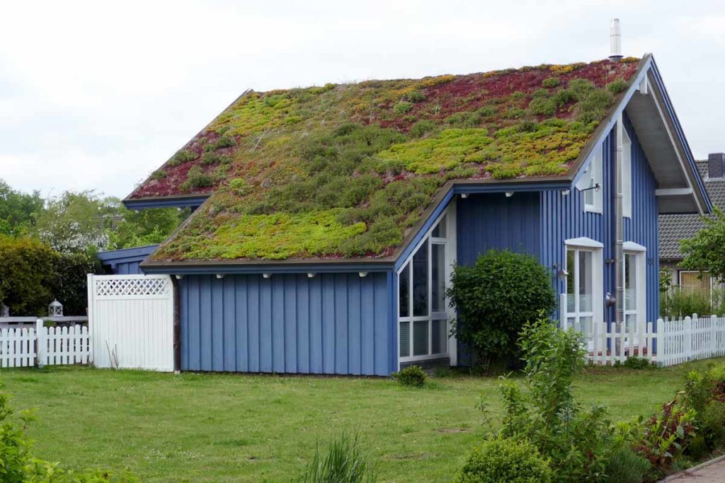 Schleppdach anbauen: Schritt-für-Schritt-Anleitung