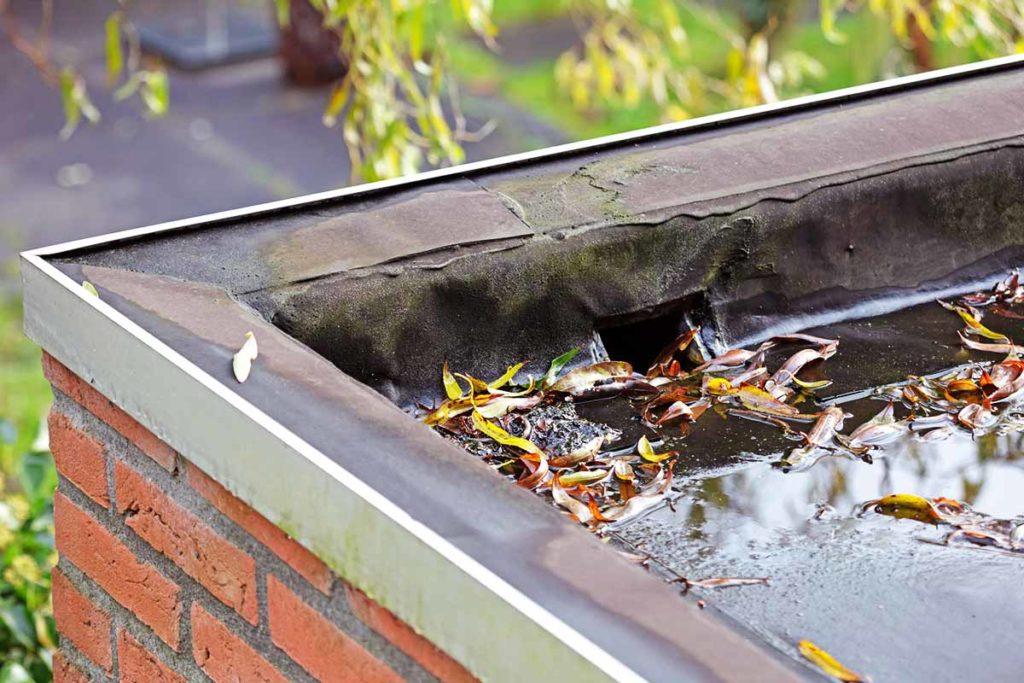 Dachentwässerung Flachdach: Methoden der Entwässerung